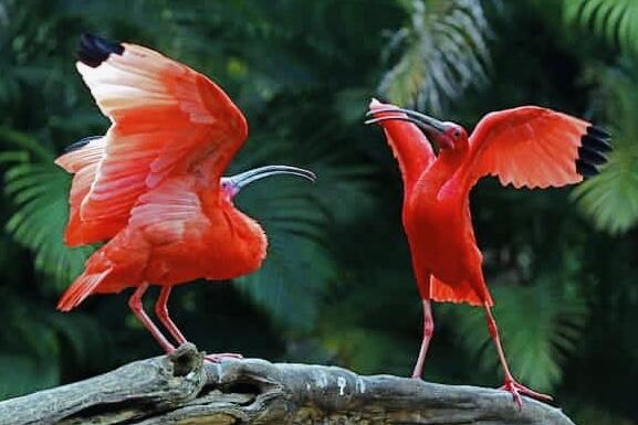 MeWe - The Next-Gen Social Network