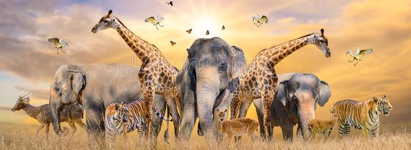 MeWe - The Next-Gen Social Network