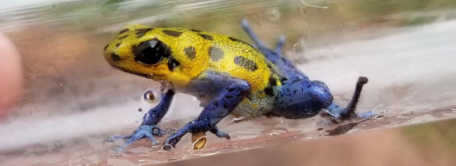 MeWe - The Next-Gen Social Network