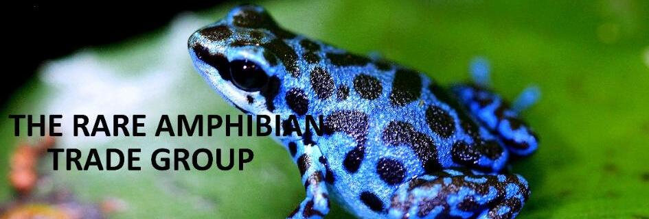 MeWe - The Next-Gen Social Network