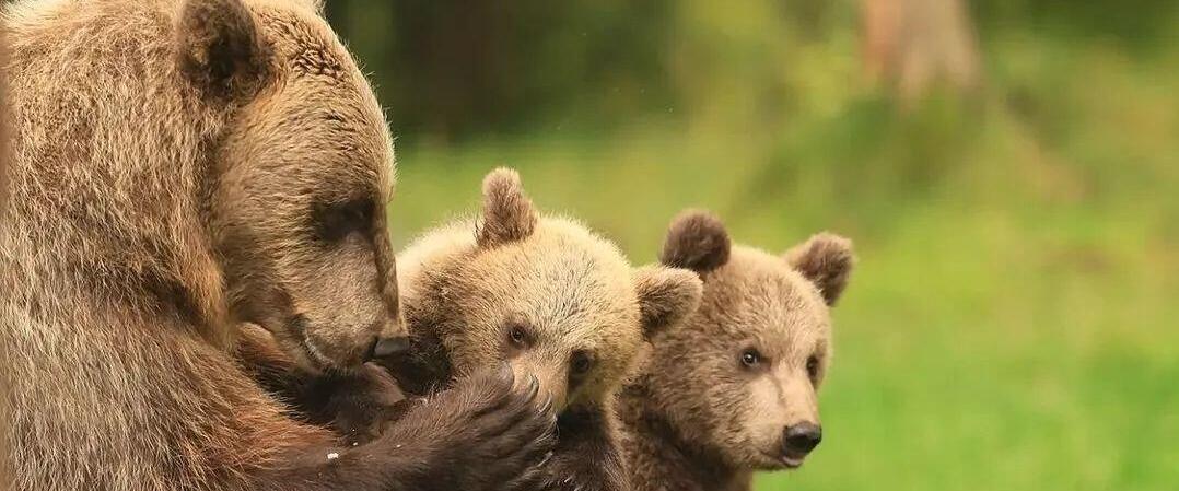 MeWe - The Next-Gen Social Network