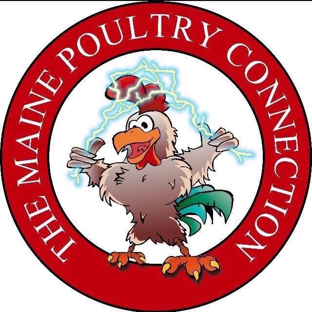 MeWe - The Next-Gen Social Network