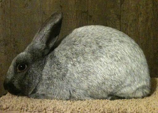 MeWe - The Next-Gen Social Network