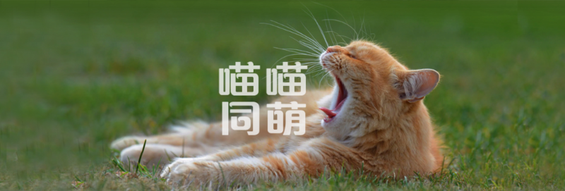 MeWe - The Next-Gen Social Network