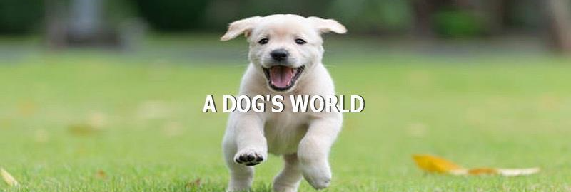 MeWe - The Next-Gen Social Network