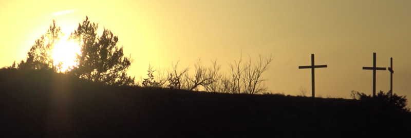 MeWe - The Next-Gen Social Network