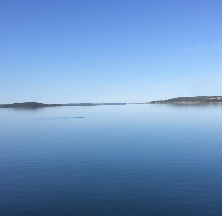 MeWe - The Next-Gen Social Network