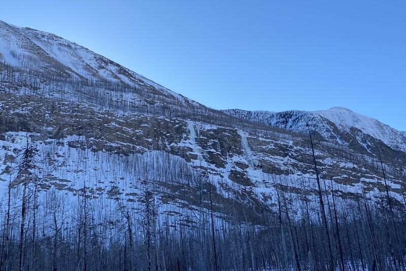 MeWe - The Next-Gen Social Network