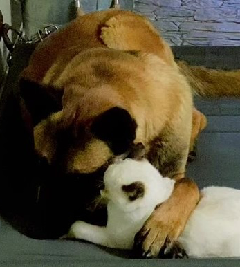 MeWe - The Next-Gen Social Network