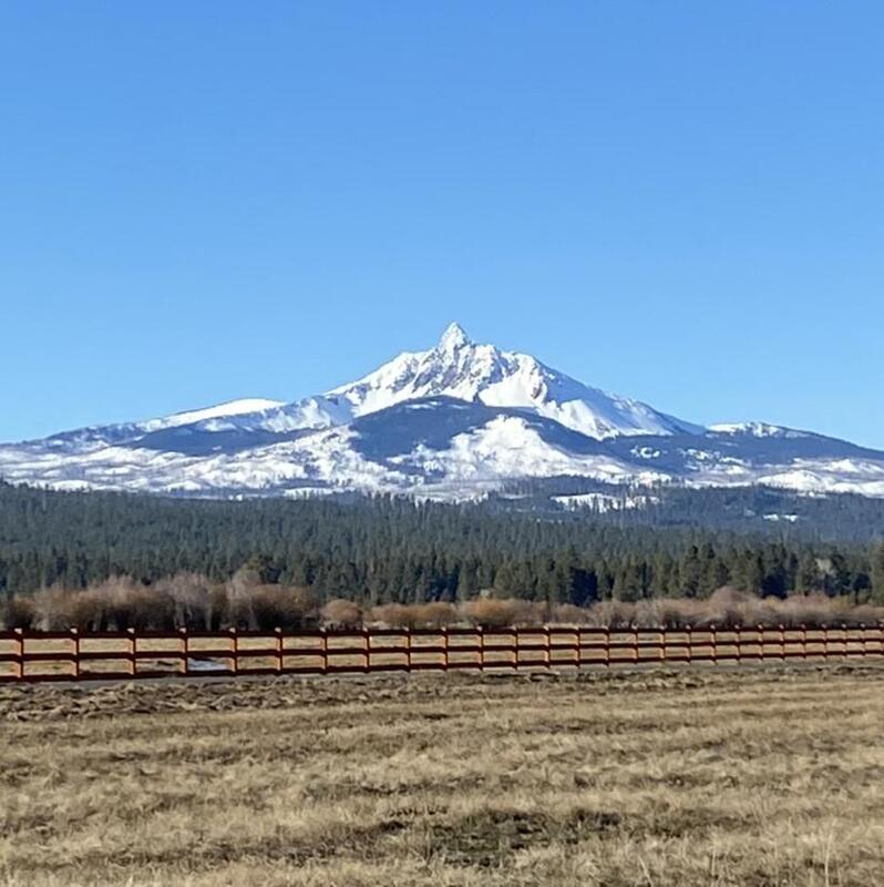 MeWe - The Next-Gen Social Network